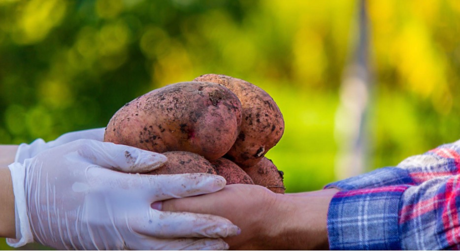 Hunger Action Month - EarthFresh